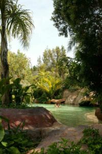 The Lost Spring | Whitianga, Coromandel | NZHotpools.co.nz